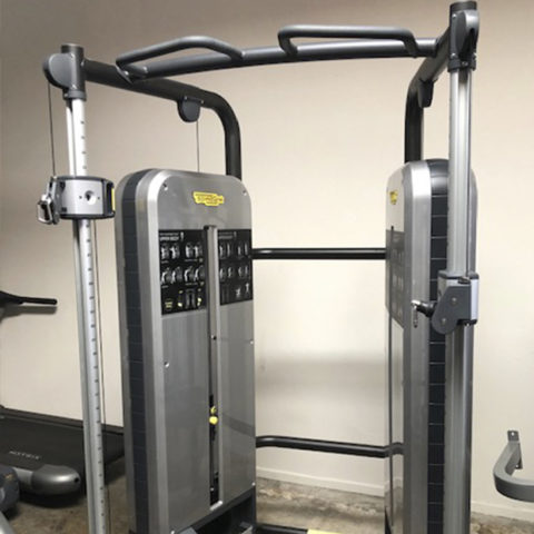 TECHNOGYM DUAL ADJUSTABLE PULLEY